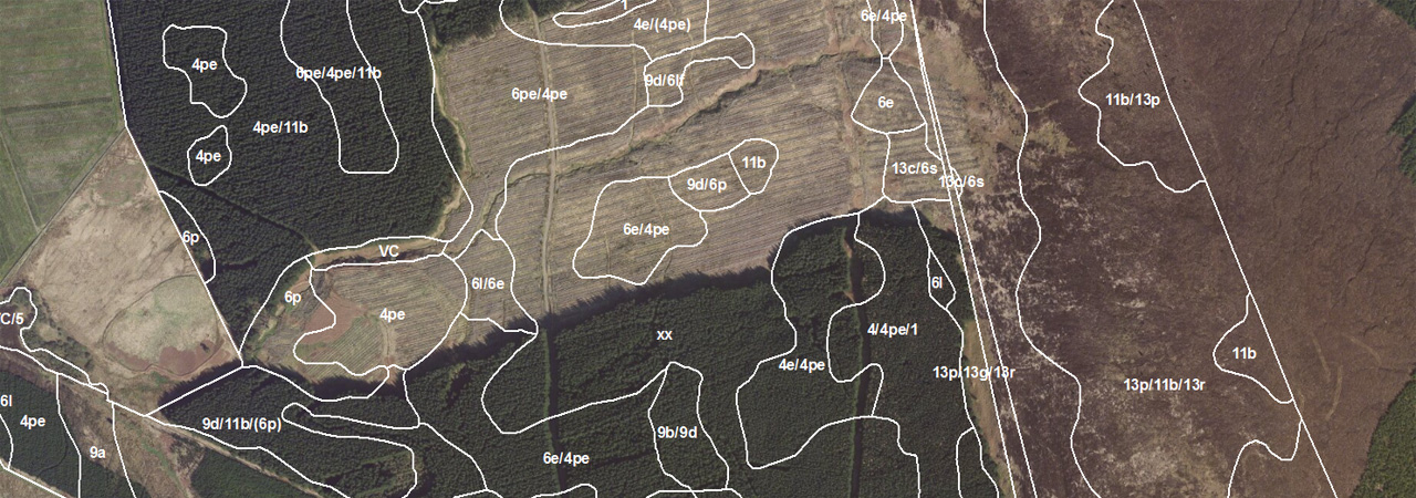 Forestry Commission GIS Data Capture Case Study By gi Perspective
